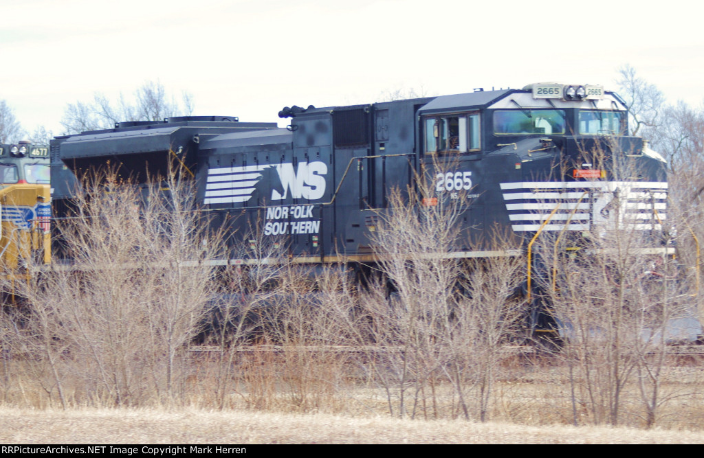 NS 2665